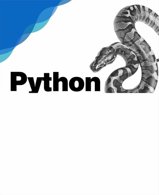 Python Made Simple (ebook), Rydhm Beri | 9789389328080 | Boeken | bol