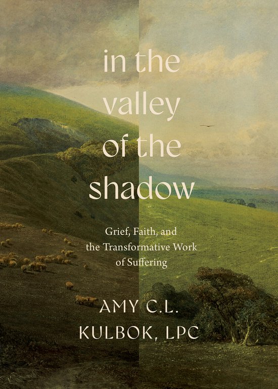 In the Valley of the Shadow, Amy C.L. Kulbok | 9780736992473 | Boeken | bol