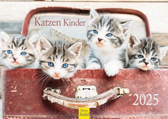Premium kat kalender 2025 voor kinderen - DIN A4 muurkalender met ...