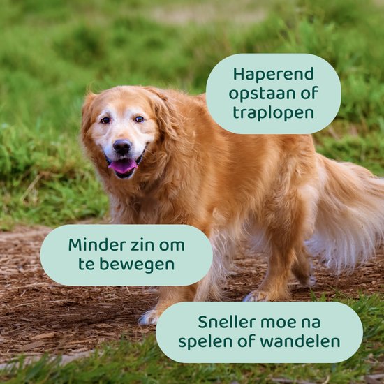 GroteHond⁺ Heup & Gewrichten - 100% Natuurlijk - 90 snoepjes ...