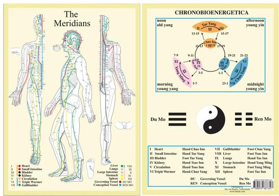 Anatomie Poster Meridiaan Systeem A4 - Kleurenkaart voor Traditionele ...