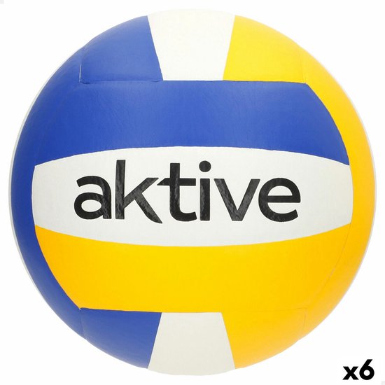 Volleybal Aktive | bol