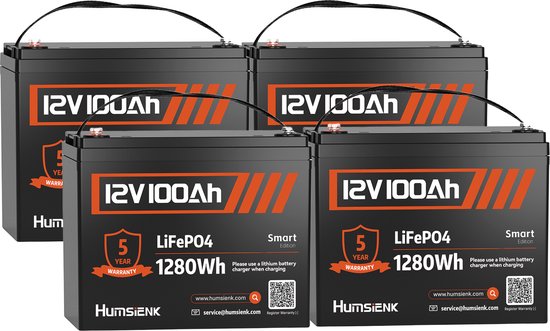 12V 100Ah LiFePO4 Accu – Lithium Batterij – Energieopslag – Camping ...