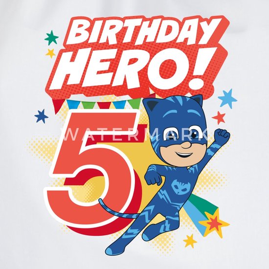 PJ Masks Catboy Birthday Hero 5e Verjaardag | bol