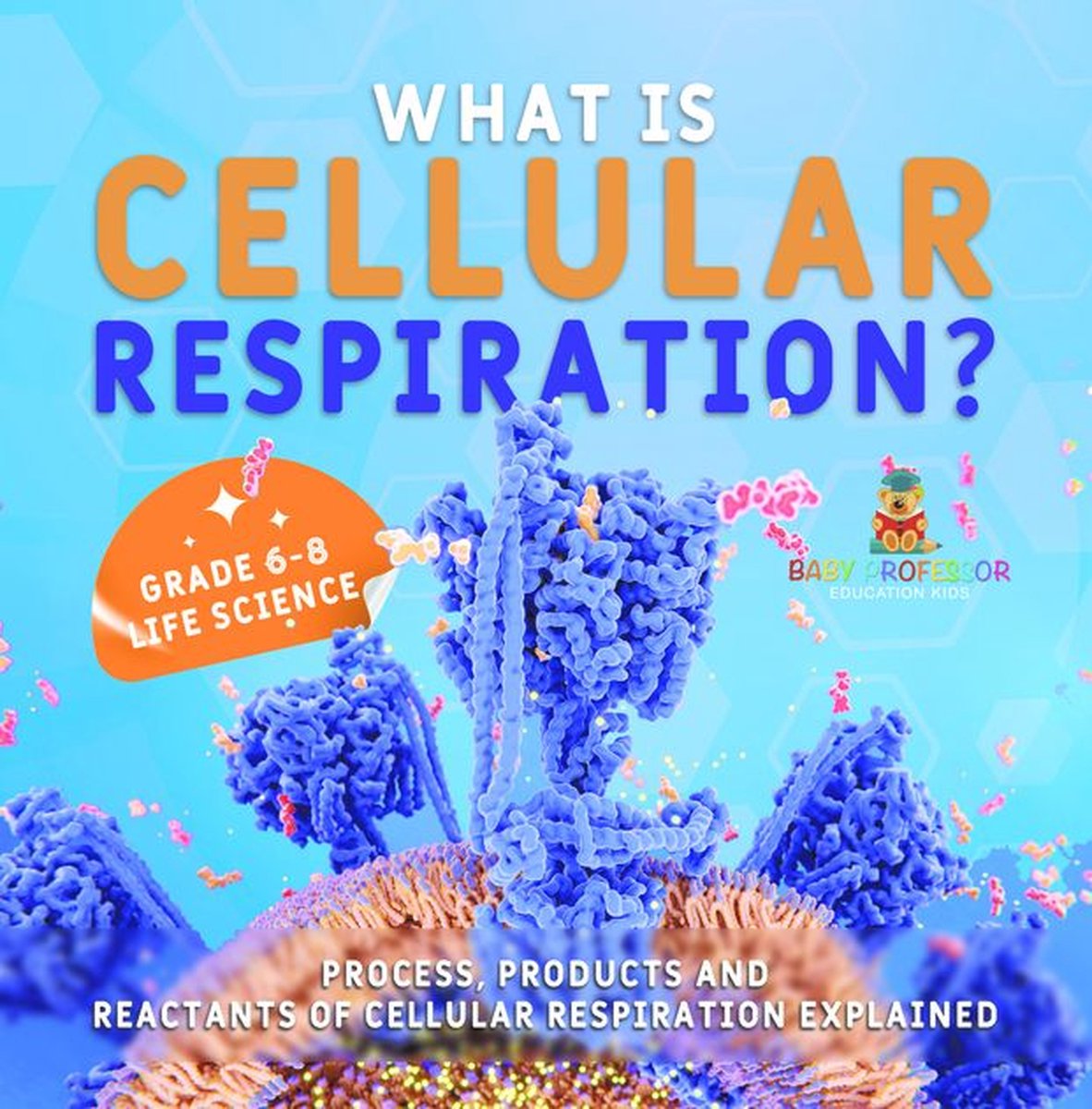 Cell Respiration For Kids
