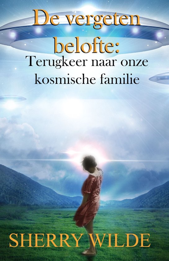 De vergeten belofte (ebook), Sherry Wilde | 1230006131203 | Boeken | bol