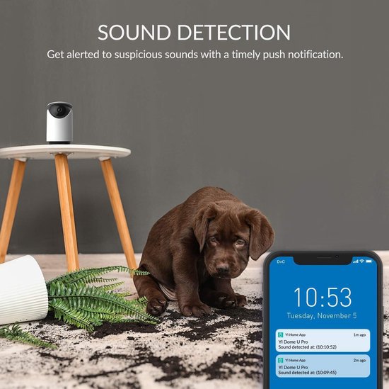 Hondencamera - Petcam - Hondencamera met App - Huisdier Camera - Honden ...