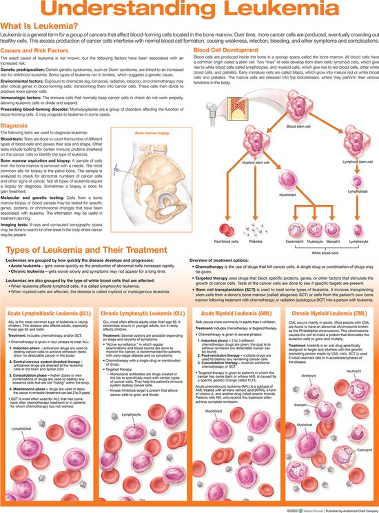 Understanding Leukemia Anatomical Chart | 9781975192358 | Boeken | bol