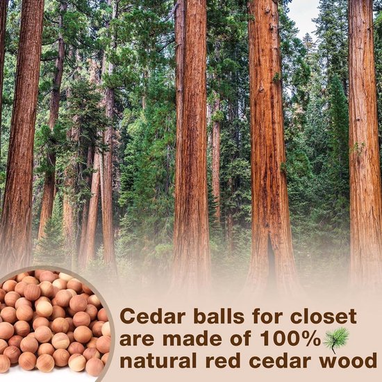 Lexium Mottenballen - Motten Bestrijden - Cederhout tegen Motten | bol