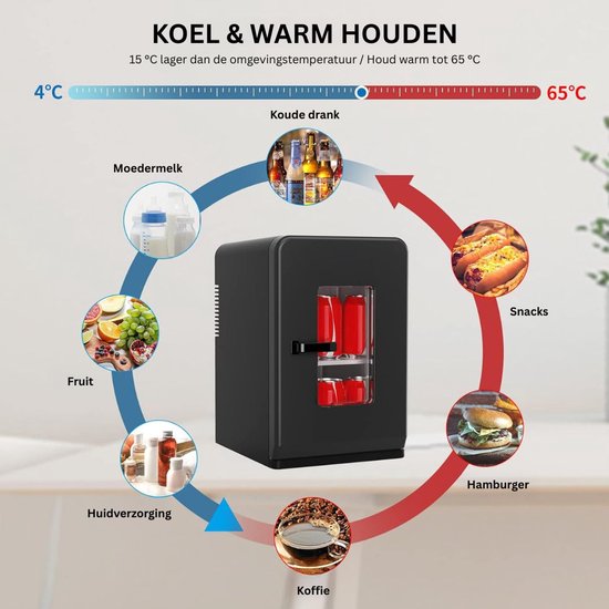 CRLYN® Minibar - Mini Koelkast - Skincare Fridge - Zwart | bol