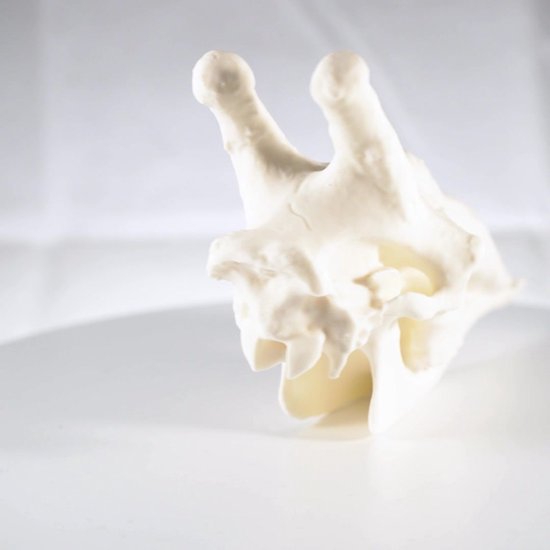 Giraffe Schedel 1:2 Schaalmodel - Dieren Schedel Decoratie Wolven Halloween Replica -... | bol