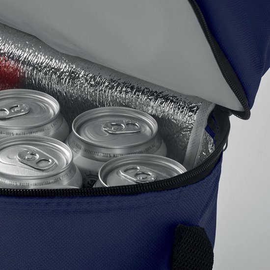 Koeltas - Lunchtas - Koeltassen - Koeltasje - 30 x 25 cm - 2 Vakken ...
