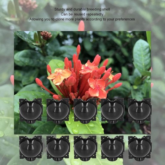 10 stuks 12cm Air Layering Propagation Kit voor Thuis Tuinieren - Zwart ...