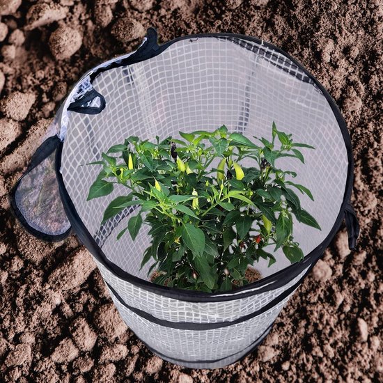 Pop-up broeikas kleine mini-tuinkas 60 x 30 cm | bol