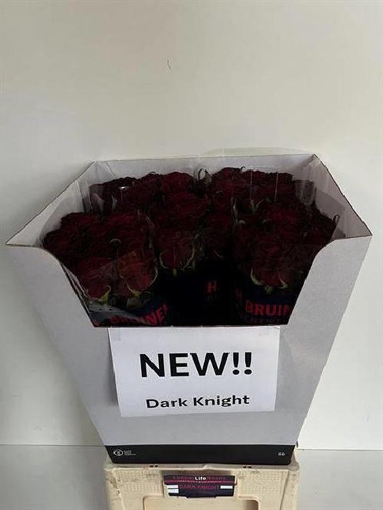 50x Rosa dark knight | bol