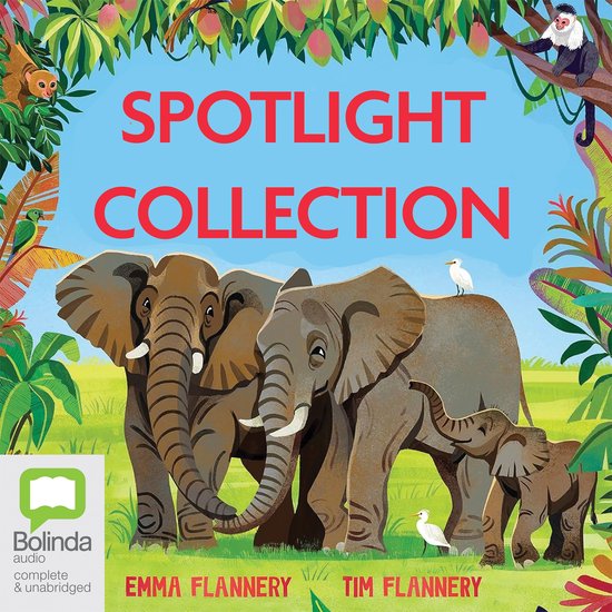 Spotlight Collection, Emma Flannery | 9781038030481 | Boeken | bol