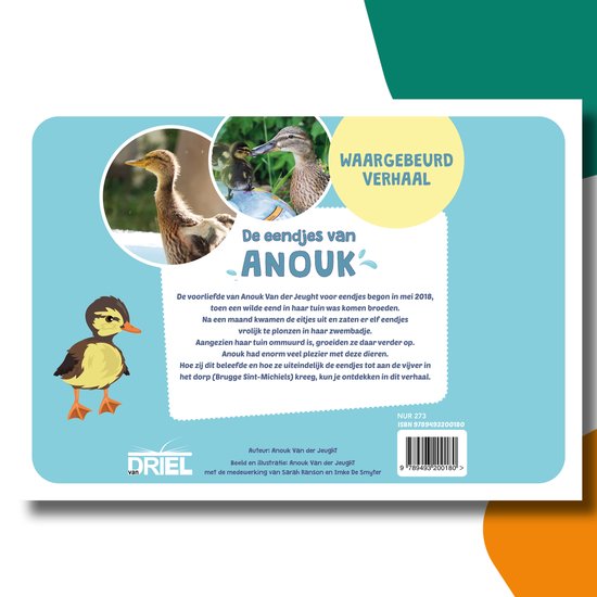 De eendjes van Anouk kamishibai vertelplaten, Anouk van der Jeught ...