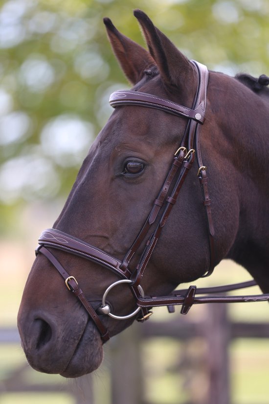 Hoofdstel LONDON ANATOMIC - Gecombineerde neusriem - Rubber teugels ...