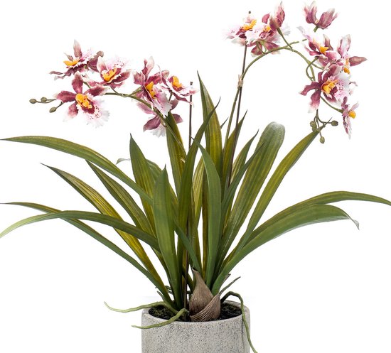 Emerald bordeaux rode orchidee kunstplant - in keramische pot - 45 cm ...