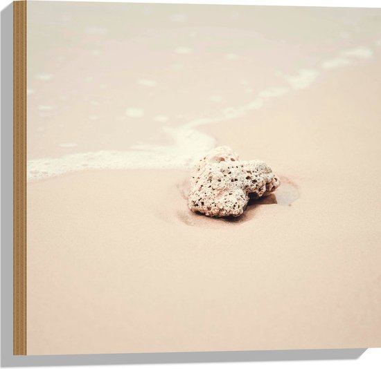 Hout - Zee - Strand - Zand - Steen - 50x50 cm - 9 mm dik - Foto op Hout ...