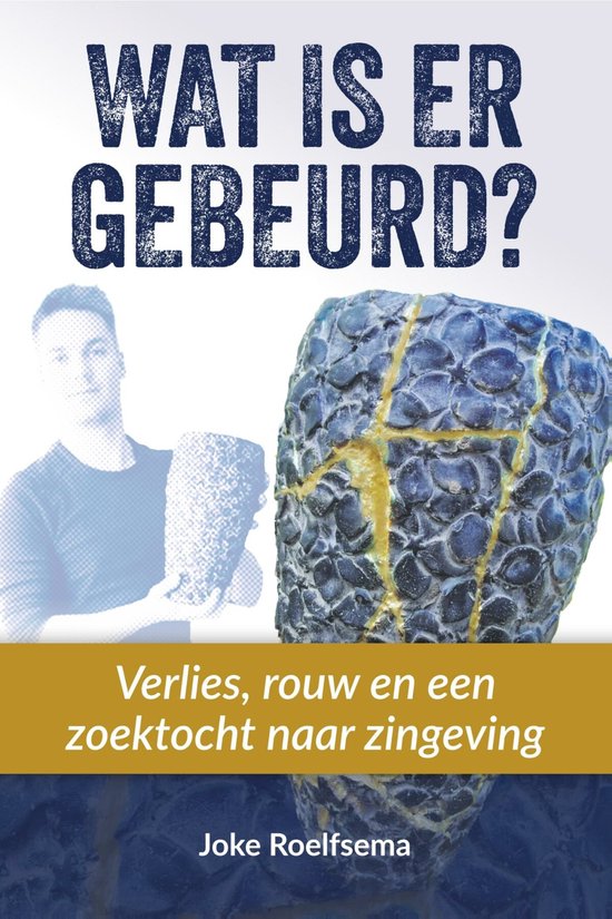Wat is er gebeurd? (ebook), Joke Roelfsema | 9789493198470 | Boeken | bol