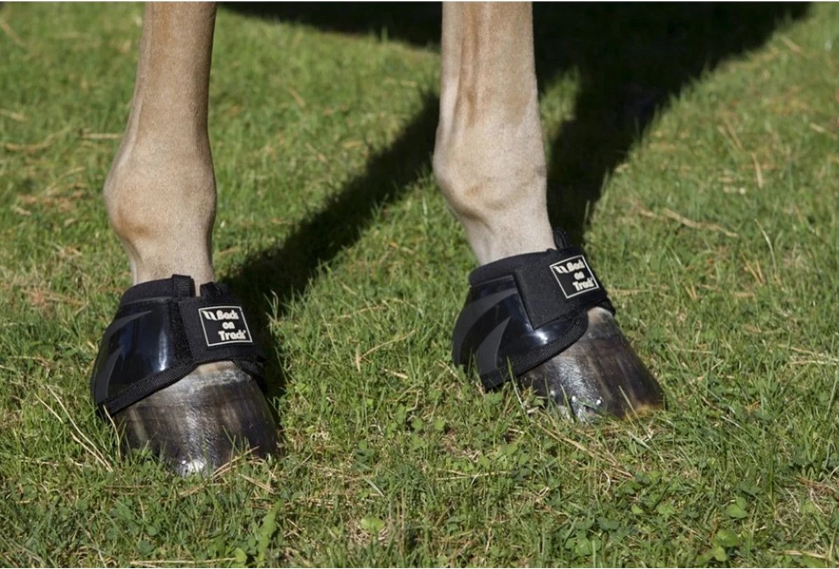 Back On Track Springschoenen Performance Zwart - Zwart - xl | bol.com