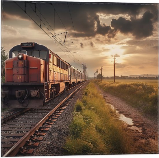 Vlag - Trein op Treinspoor - 50x50 cm Foto op Polyester Vlag | bol