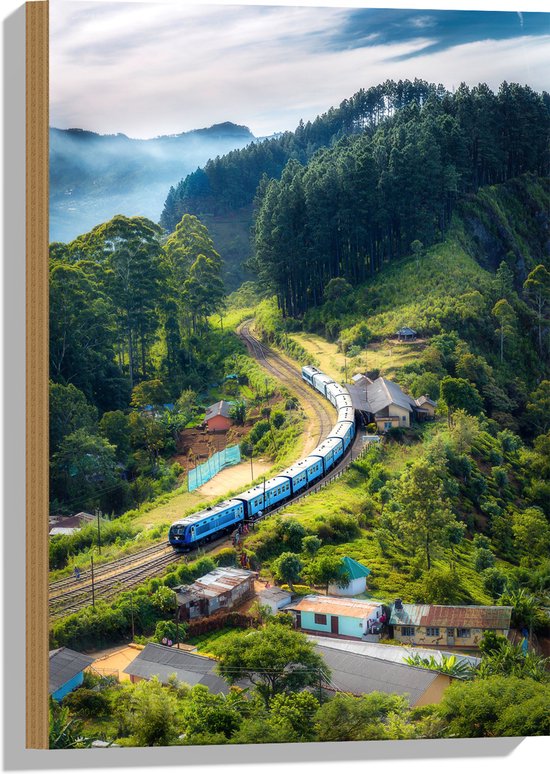 Hout - Bergen - Trein - Treinrails - Huizen - Bomen - Planten - 40x60 ...