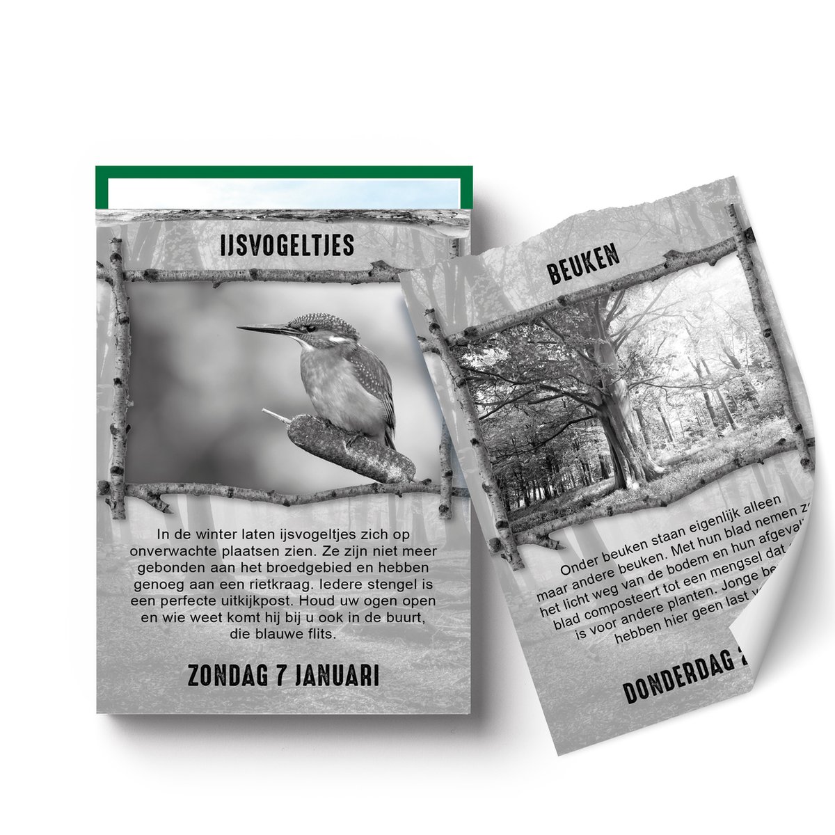 Arjan Postma Natuur Scheurkalender 2024 | bol