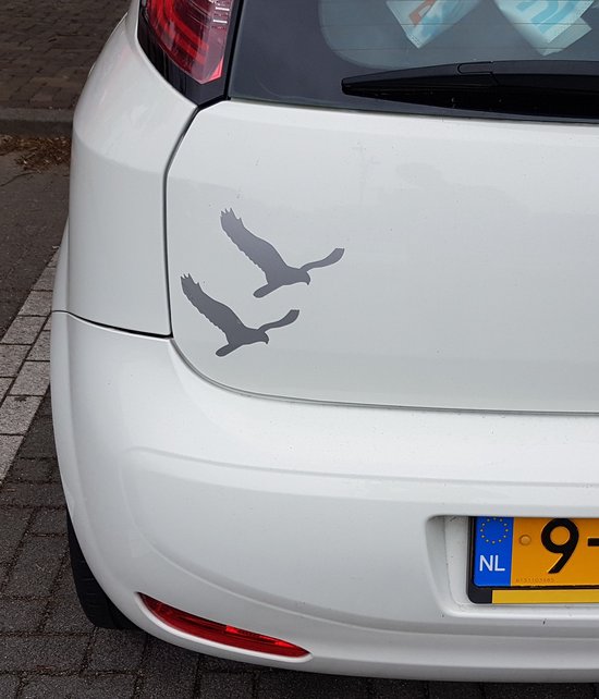 Kiekendief sticker Flevoland - 10x14cm - zilver - topkwaliteit avery ...