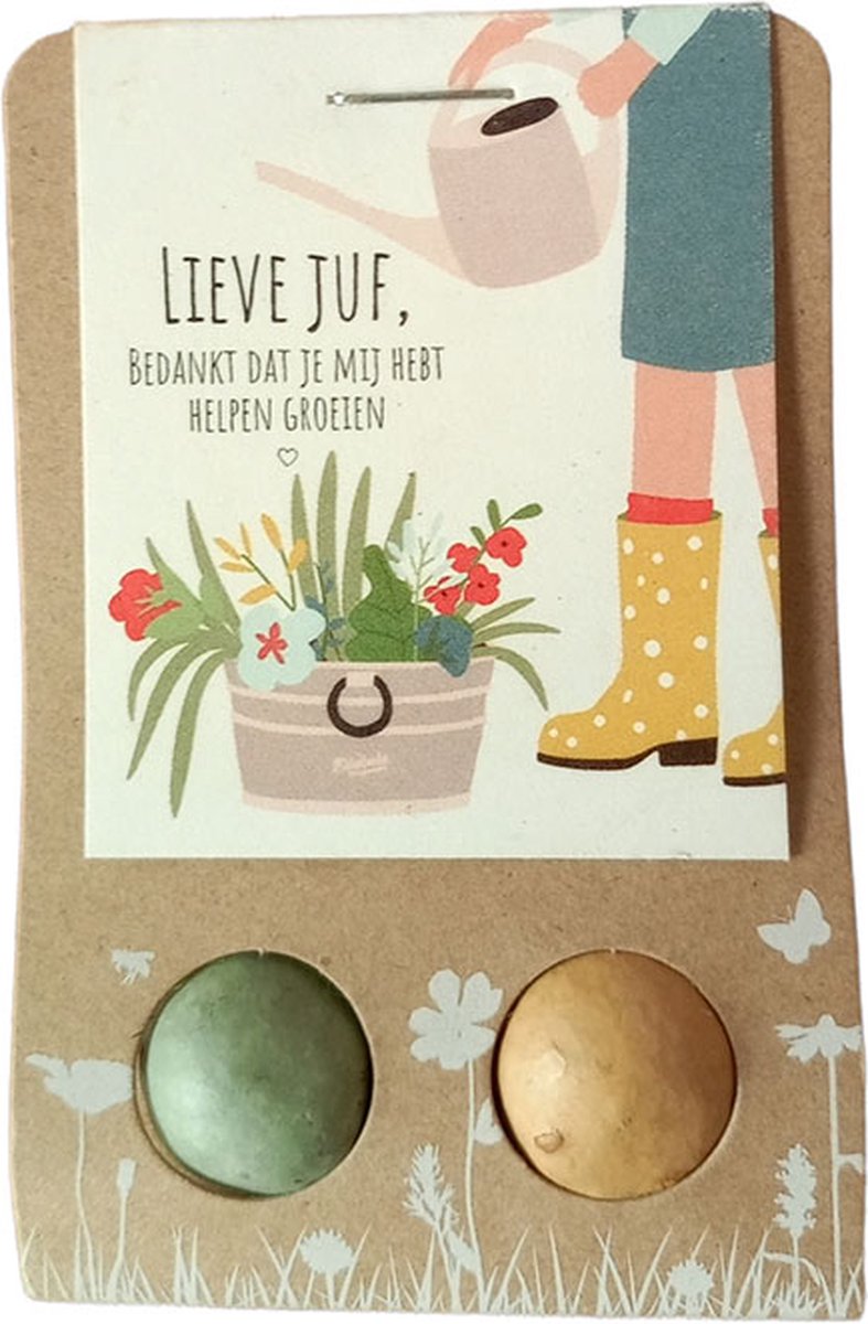 Floz Design bedankje juf - afscheid juf - groen cadeau juf - 2 ...