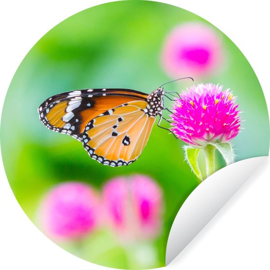 WallCircle - Muurstickers - Behangcirkel - Landelijk - Vlinder - Distel - Bloem -... | bol
