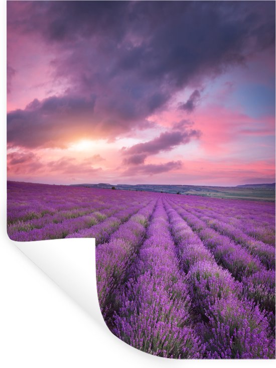Muurstickers - Sticker Folie - Lavendel - Paars - Wolken - Bloemen ...