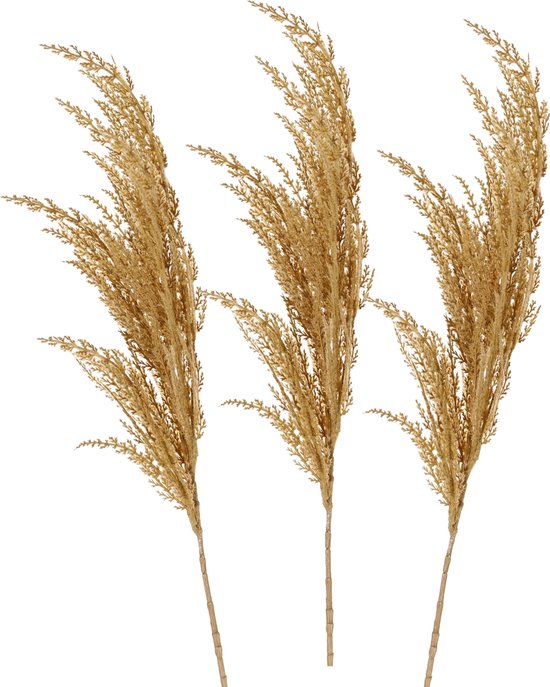 TopArt Pampasgras pluim losse steel/tak - 3x - naturel beige - 100 cm ...