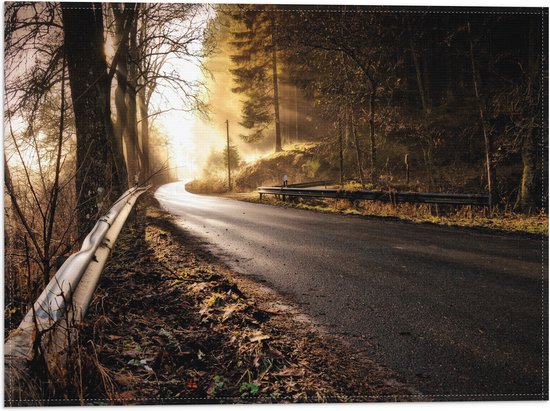 Vlag - Bomen - Bossen - Weg - Natuur - 40x30 cm Foto op Polyester Vlag ...