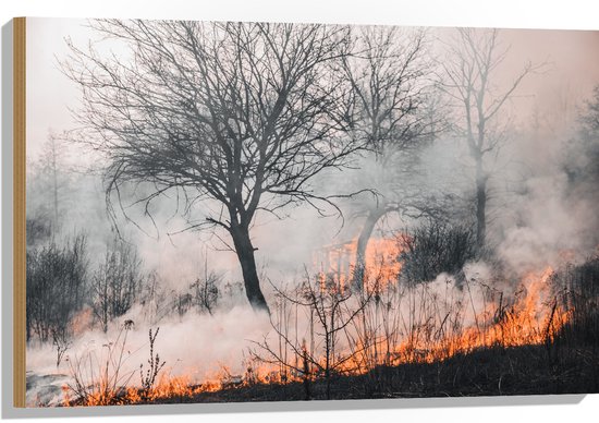 Hout - Bomen - Planten - Brand - Vuur - Rook - 90x60 cm - 9 mm dik ...