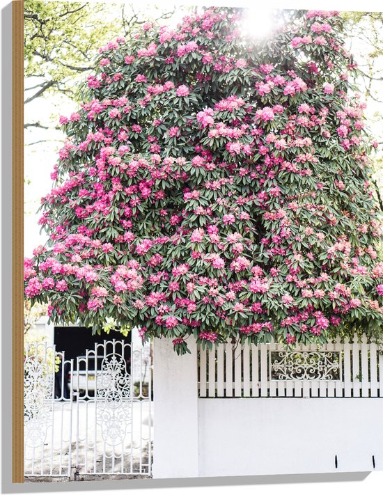 Hout - Bomen - Bloemen - Planten - Roze - Poort - Auto - Muur - 60x80 ...