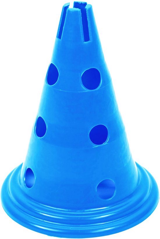 merkloos Agility Pylon 30 cm hoog per stuk Blauw 30 cm Blauw 30 cm | bol