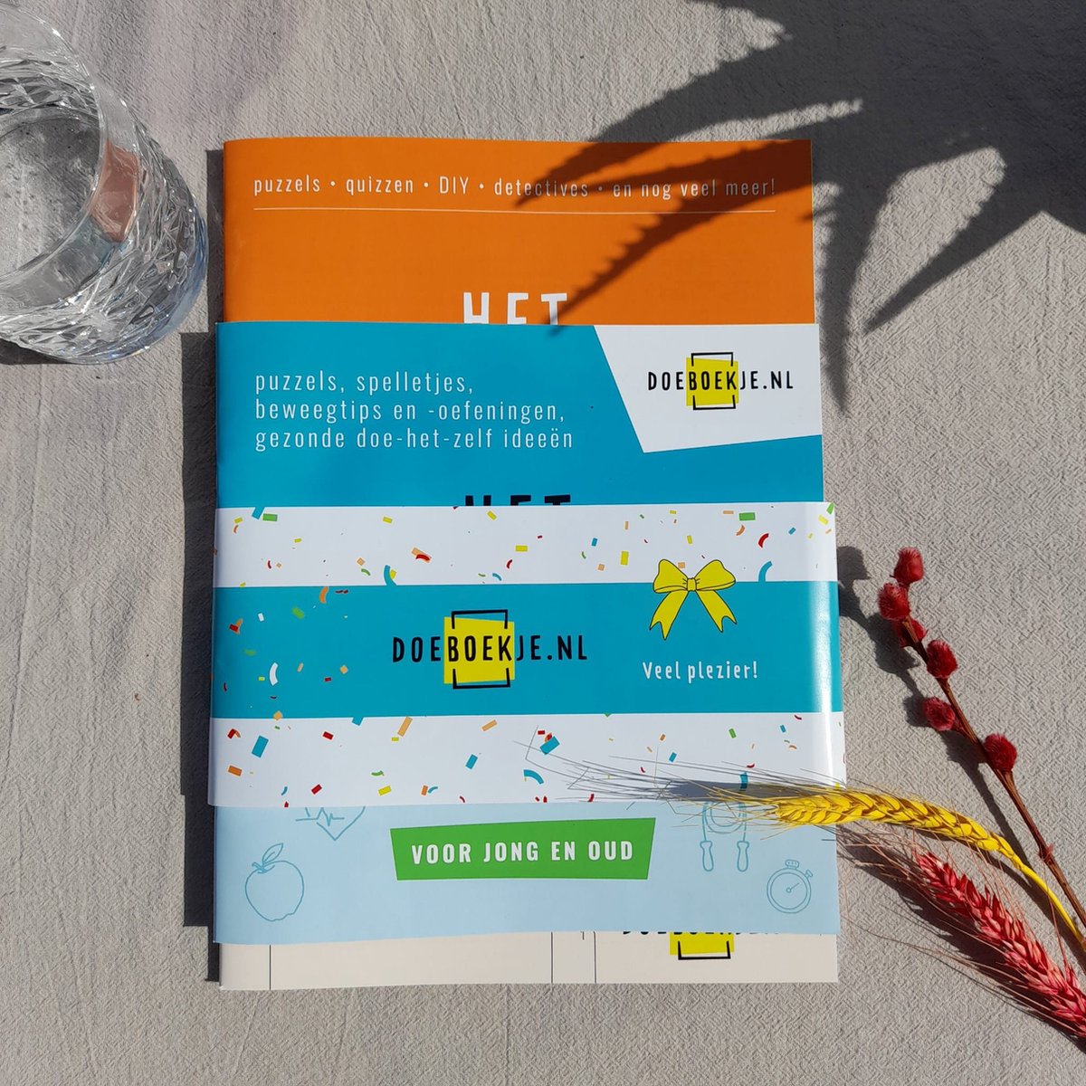 Combiset Lekker Thuis Doeboek (volw) + Fit & Vitaal Doeboek (jong+oud ...