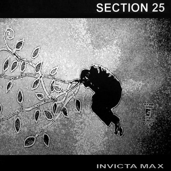 Section 25 - Invicta Max (LP), Section 25 | LP (album) | Muziek | bol.com