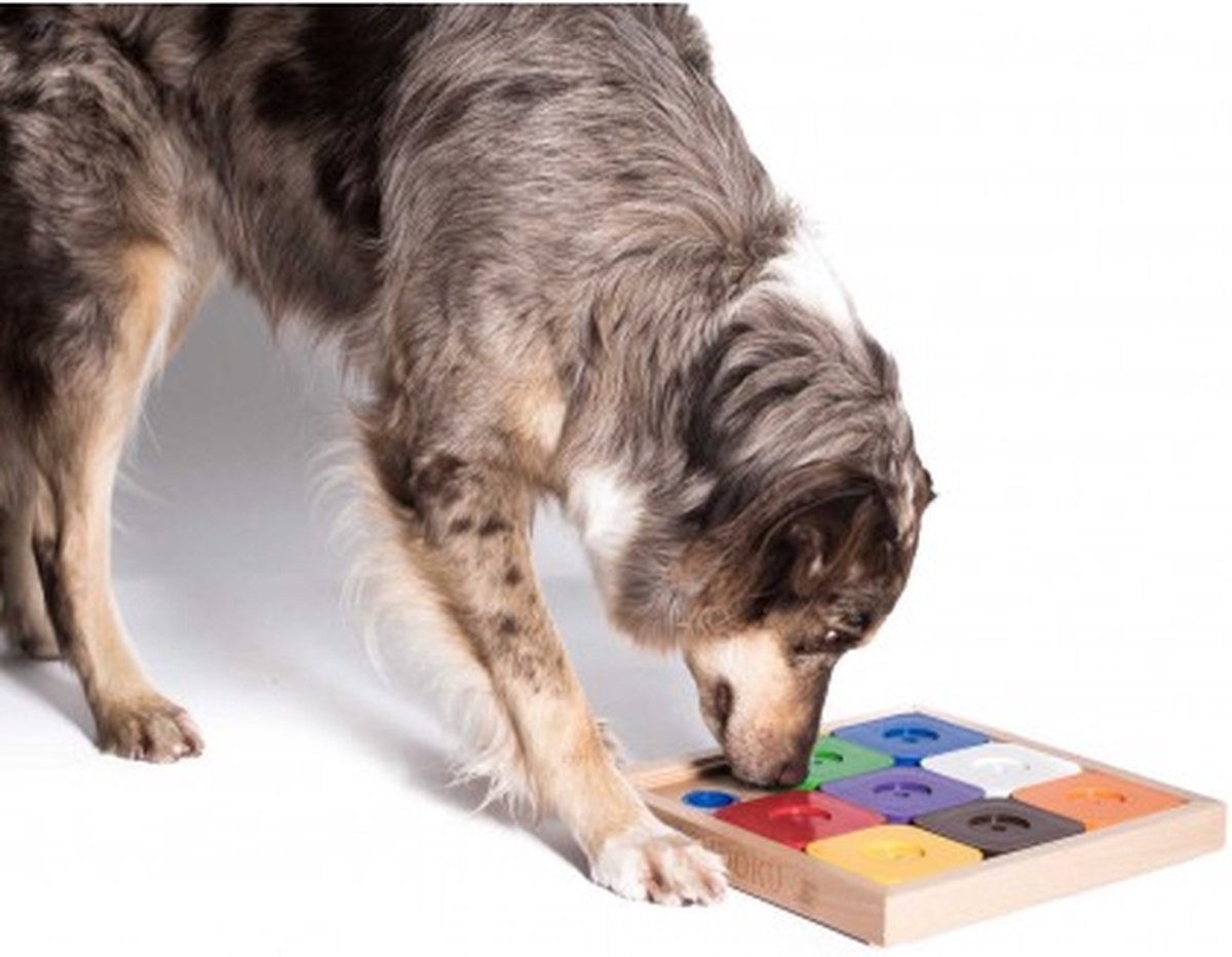 Hondenpuzzel-hondenspeelgoed-My Intelligent Dogs- Travelbox-houten ...