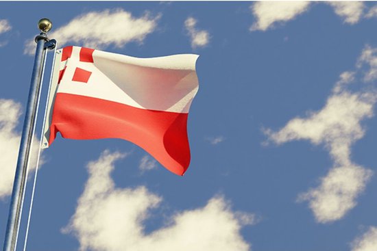 Vlag Utrecht 150x225cm | bol