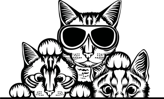Raam- auto- bumper sticker 3 grappige gluur katten - poezen wallart | bol
