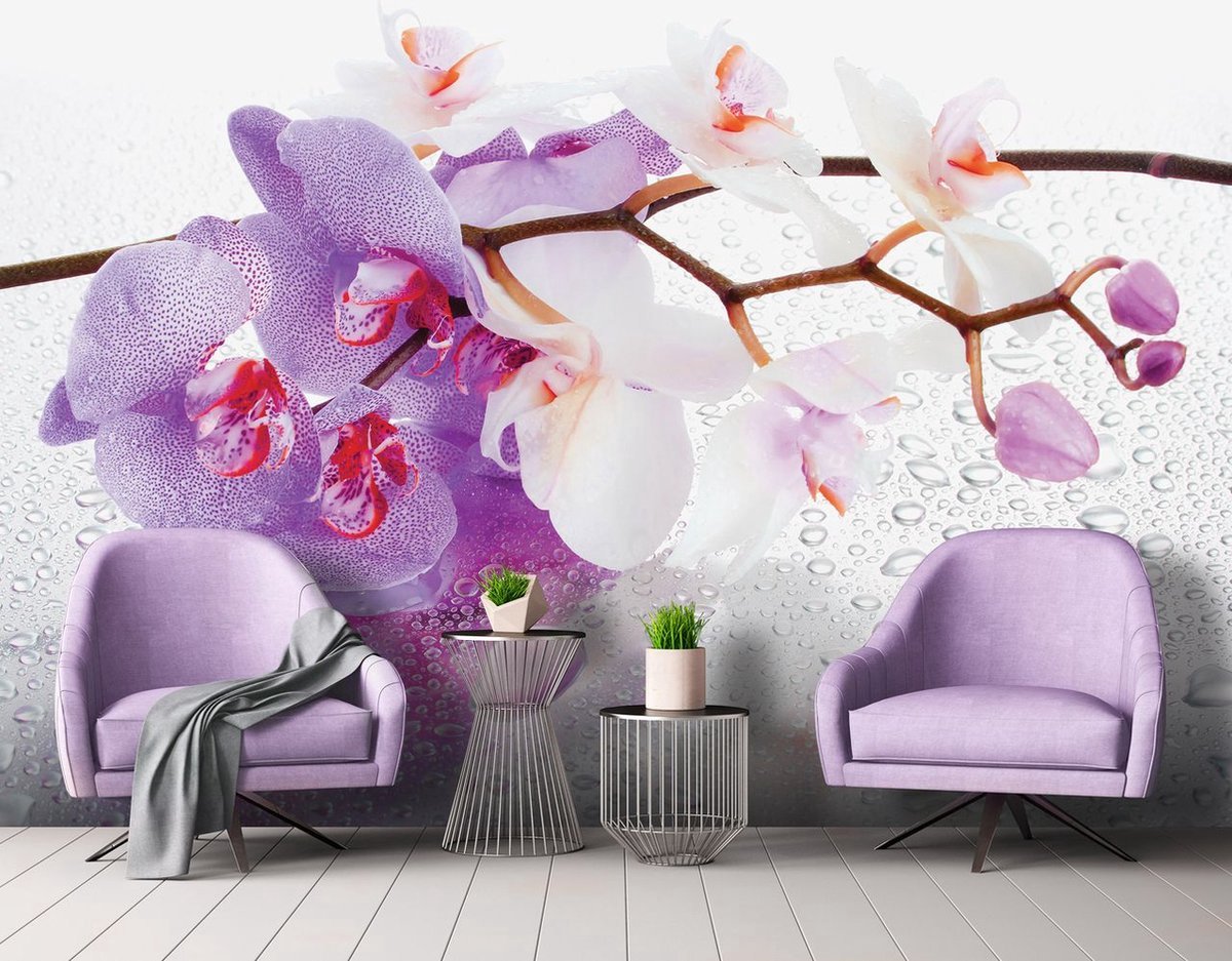 Fotobehang - Vlies Behang - Orchidee - Bloem - 312 x 219 cm | bol.com