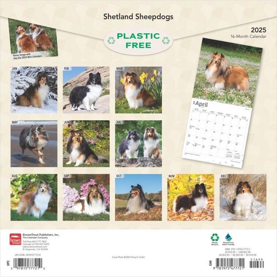 Sheltie - Shetland Sheepdog Kalender 2025 | bol