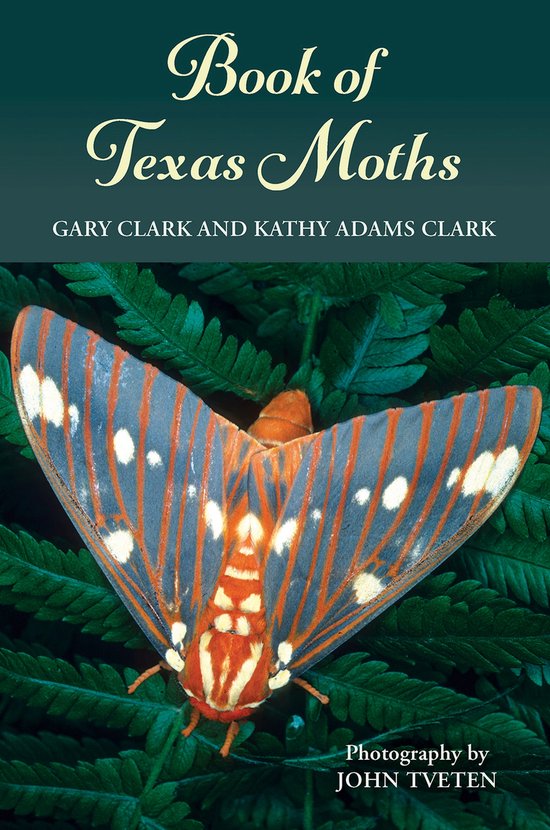 Gideon Lincecum Nature and Environment Series- Book of Texas Moths ...