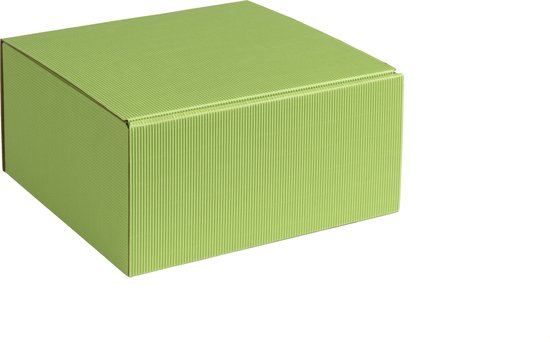 Geschenkdoos ribbelkarton 25x24x12cm LICHTGROEN (35 stuks) | bol