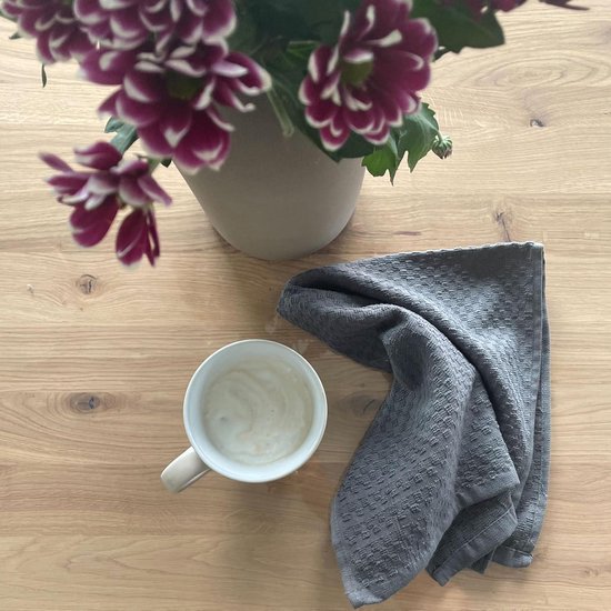Vaatdoeken 10er set - ca. 45x60 cm - Grijs - Absorberend en Duurzaam | bol