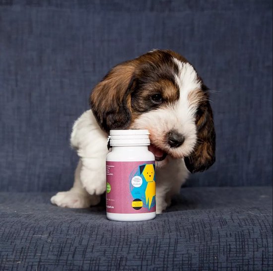 Honden supplementen Apipet Immuno 120 capsules | bol