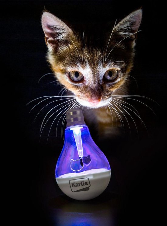 Cat treat bulb led, 7 x 7 x 11 cm | bol.com